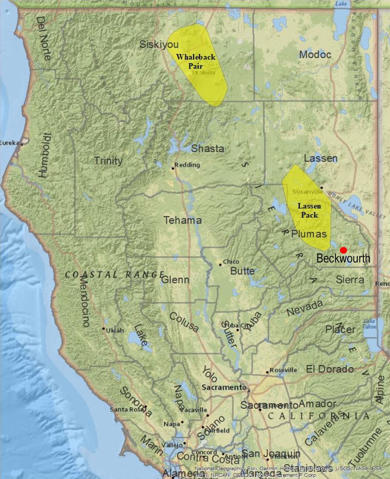 California is home to a new pack of wolves – Sierra Nevada Ally