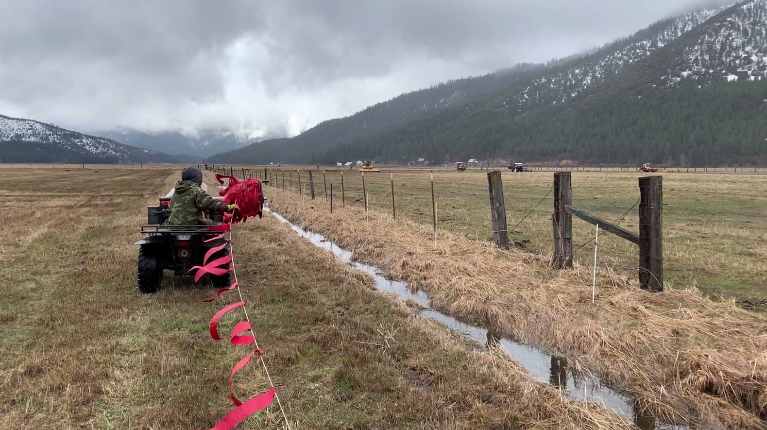 Confirmed Wolf-Kill of Livestock in Plumas County Raises Questions of a ...