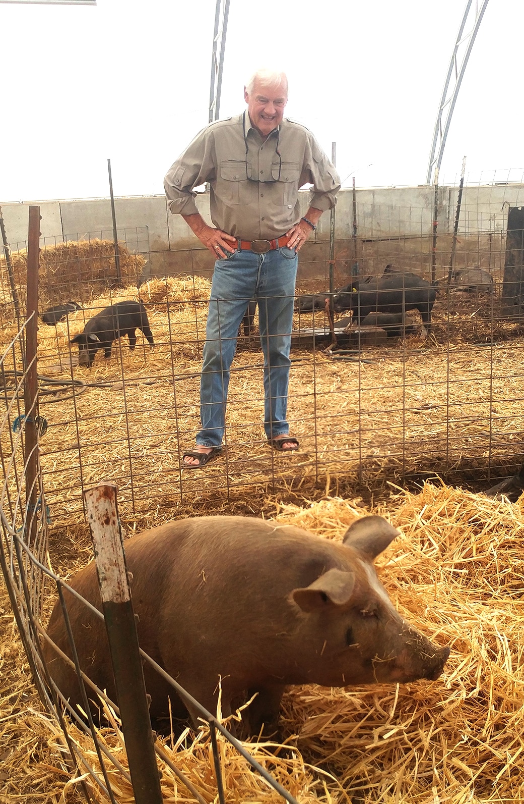 Poem: Aubade Paean – Sierra Nevada Ally