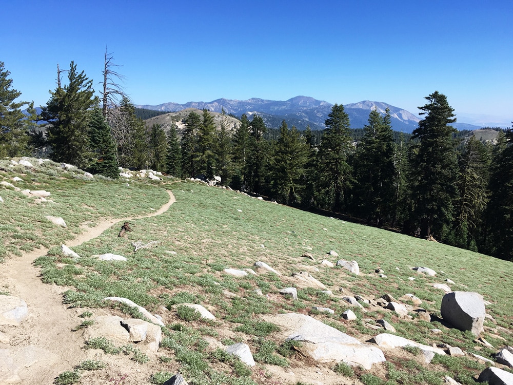 Hiking the Tahoe Rim Trail – Sierra Nevada Ally