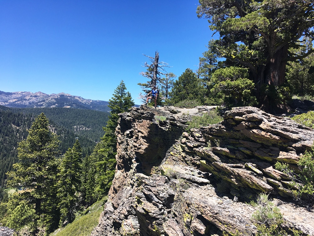 Hiking the Tahoe Rim Trail – Sierra Nevada Ally