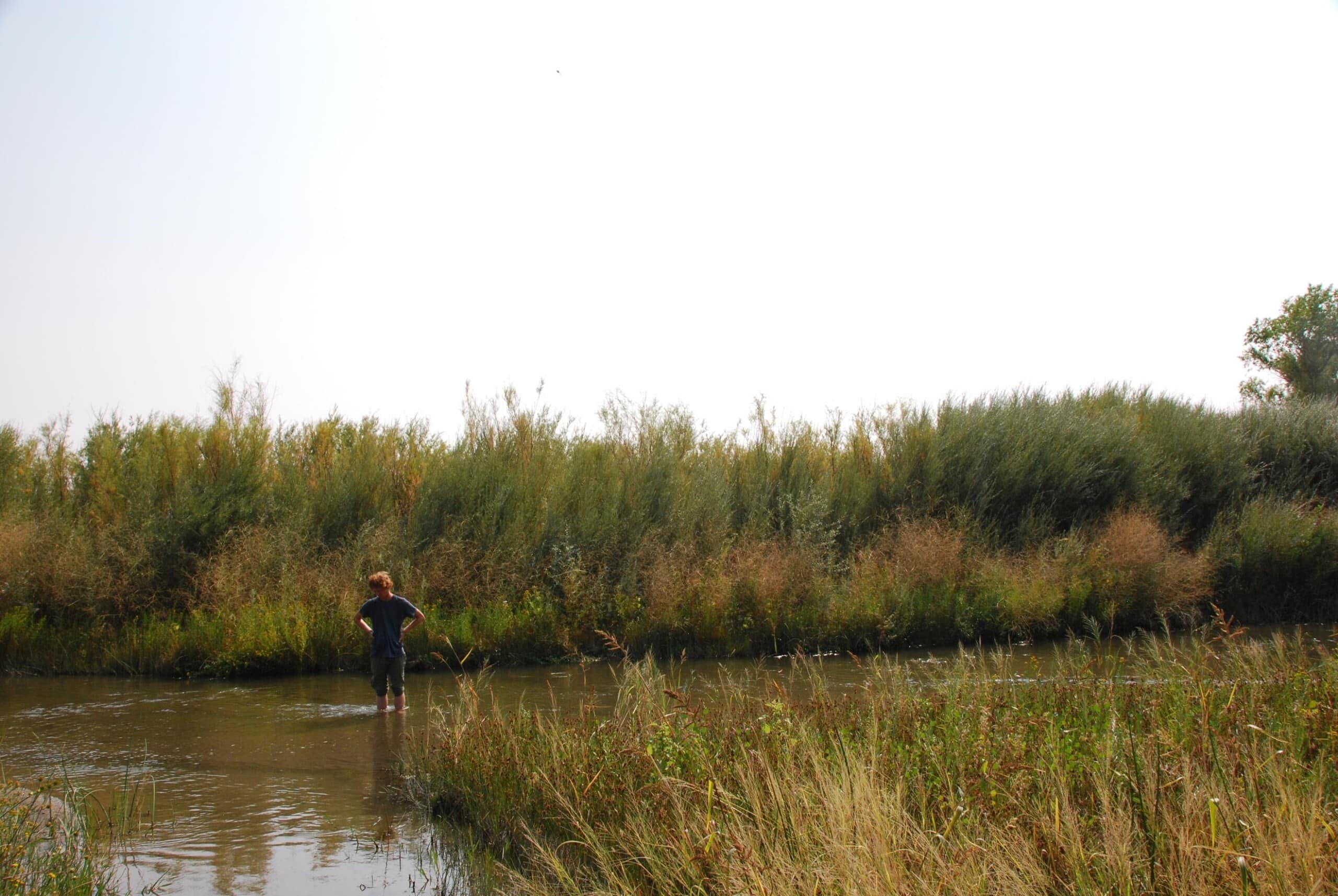 Great Basin Water Network Showcase of a Drought Year Water Tour Via ...