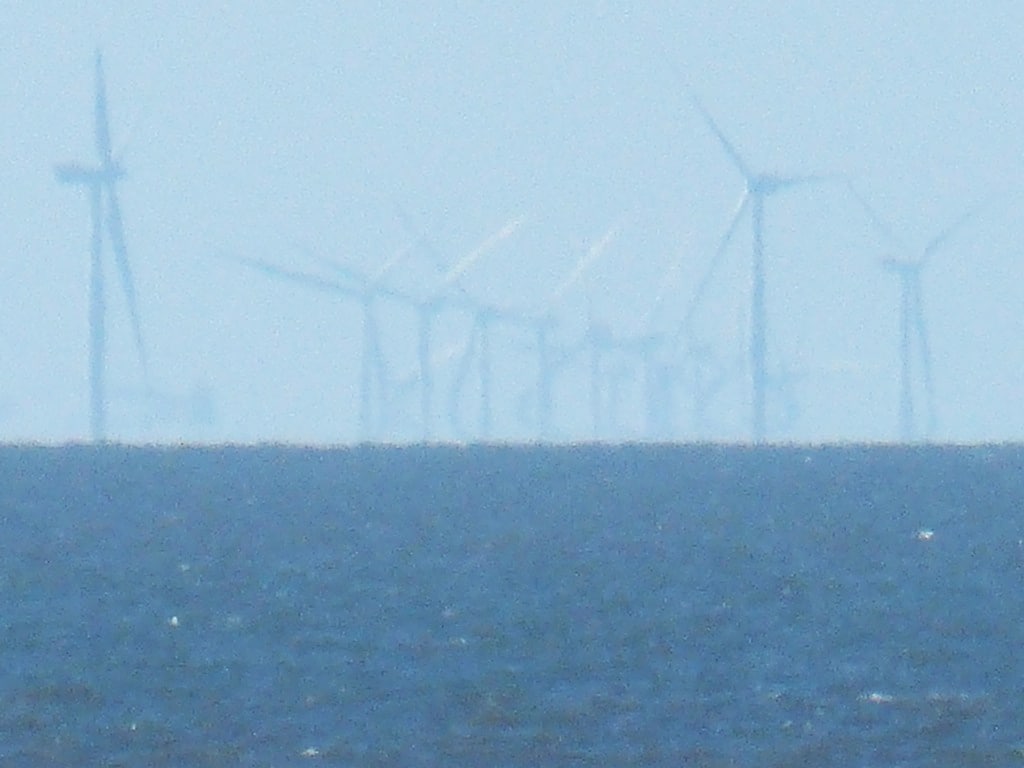 With First Lease Sale in the Pacific, Offshore Wind Energy Gaining ...