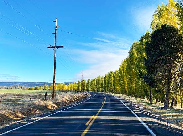 Winnemucca to the Sea Highway – Sierra Nevada Ally
