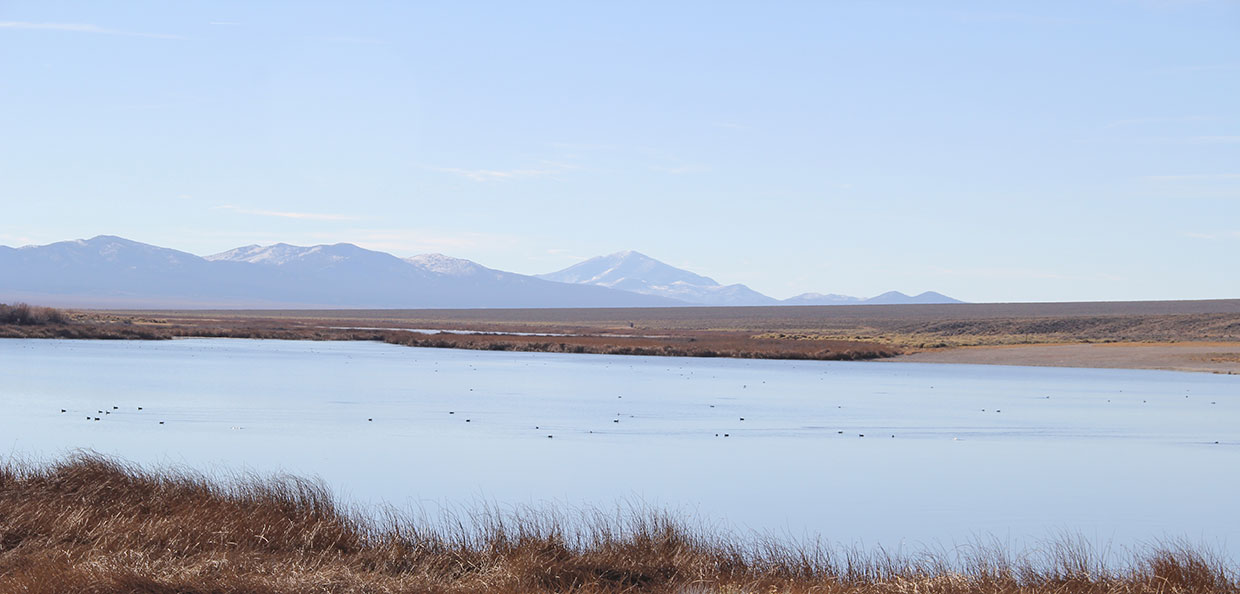 Eastern Nevada Landscape Coalition Changing of the Guard – Sierra ...