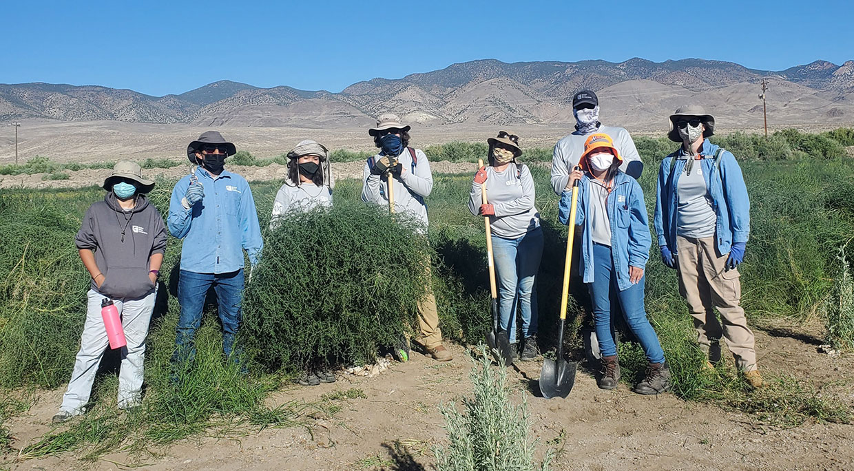 Walker Basin Conservancy Native Plant-a-thon caps several years of ...