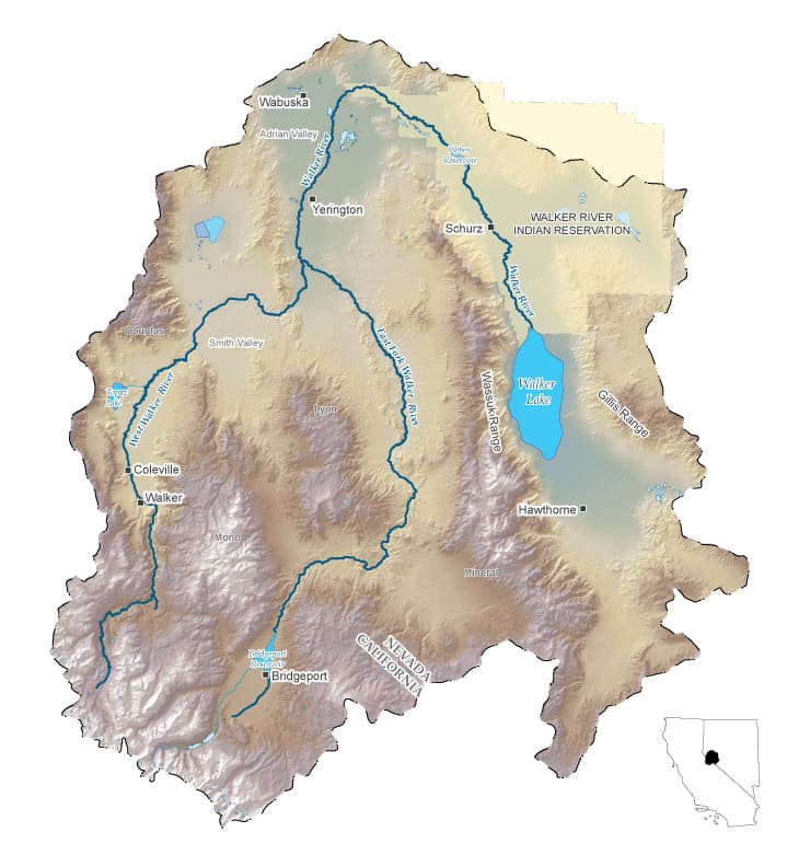 Walker Basin Conservancy Native Plant-a-thon caps several years of ...