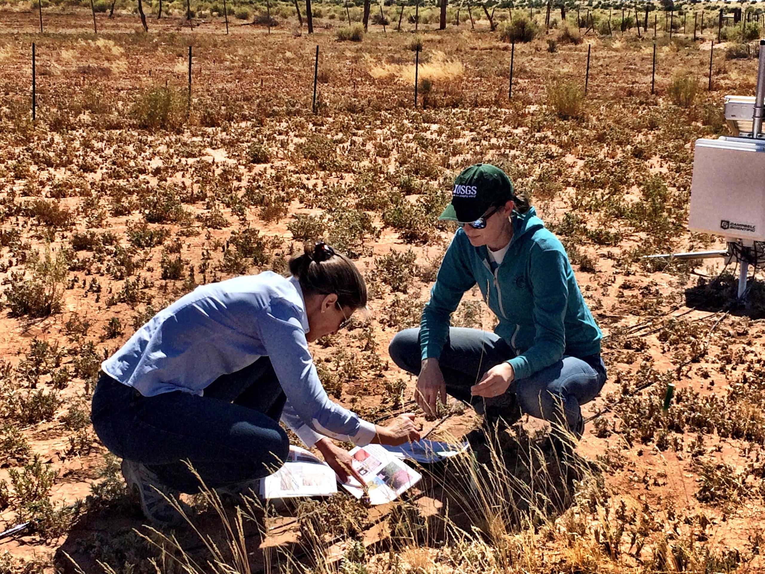 Restoring the land can feel a lot like fun – Sierra Nevada Ally