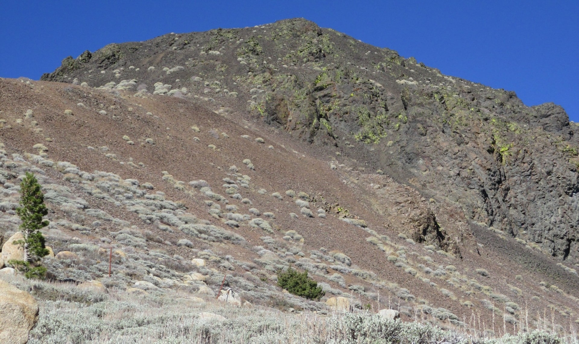 Ebbetts Pass: easy hikes deliver high adventures – Sierra Nevada Ally