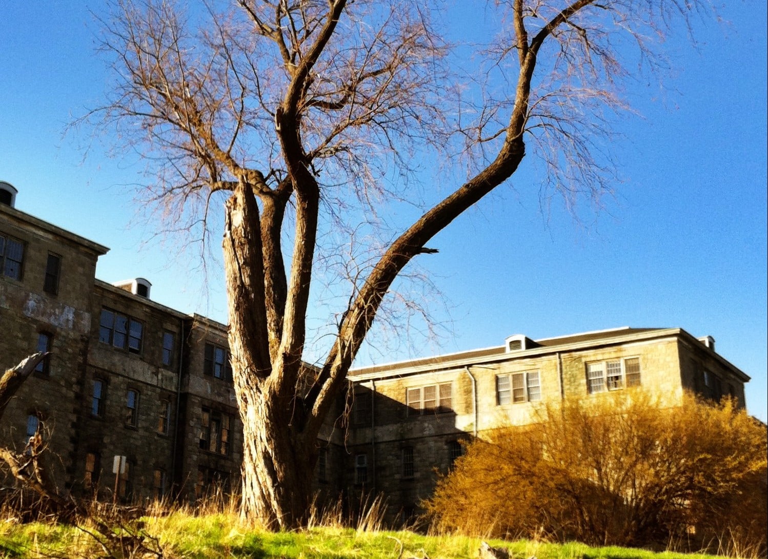 The problem that just won’t go away – Sierra Nevada Ally