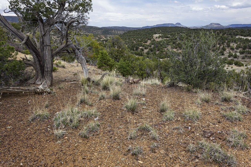 Farewell to two radicals with a common goal – changing the West ...