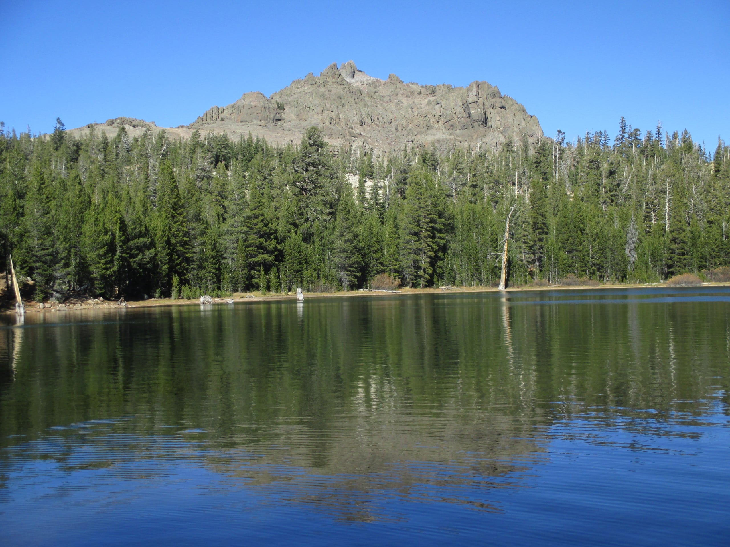 High pass openings deliver rewarding opportunities – Sierra Nevada Ally