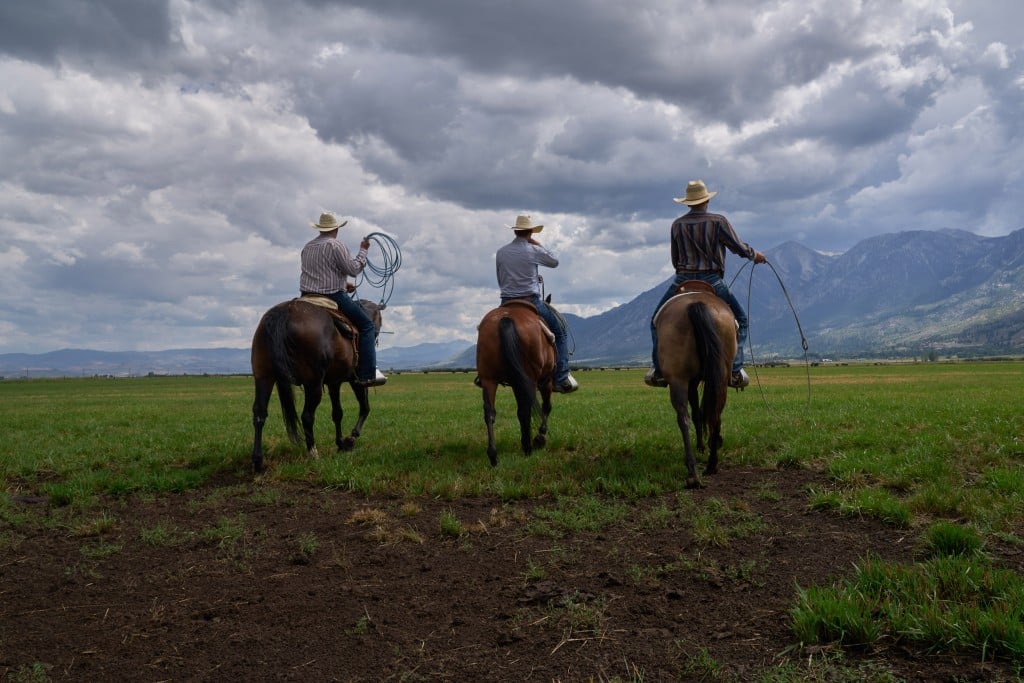 A Look Back on the Inaugural Capital City Rodeo – Sierra Nevada Ally