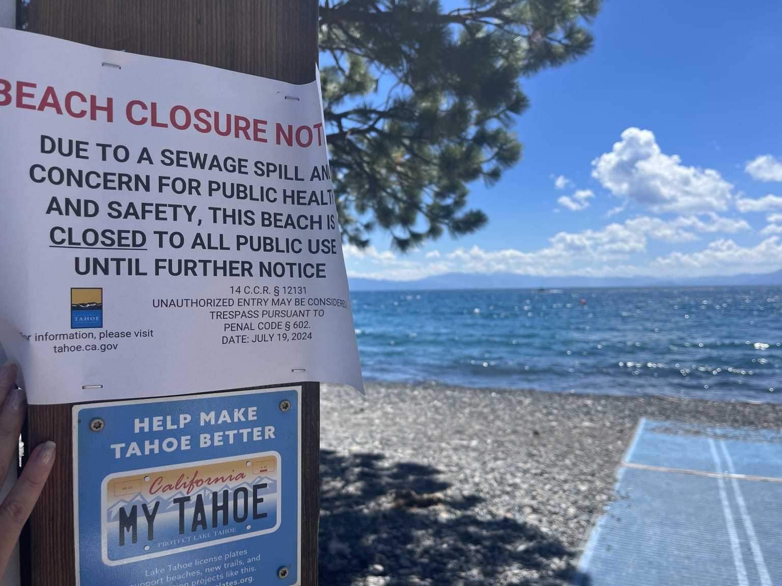 The Great Carnelian Bay Poop Spill of 2024 – Sierra Nevada Ally