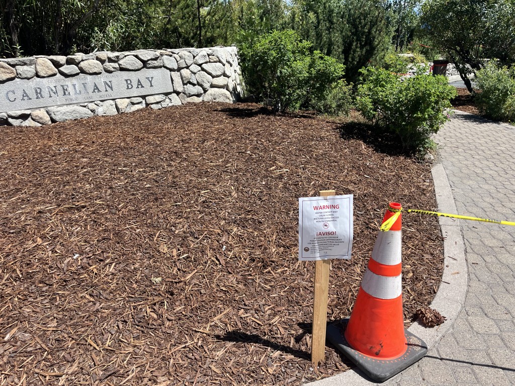 The Great Carnelian Bay Poop Spill of 2024 – Sierra Nevada Ally