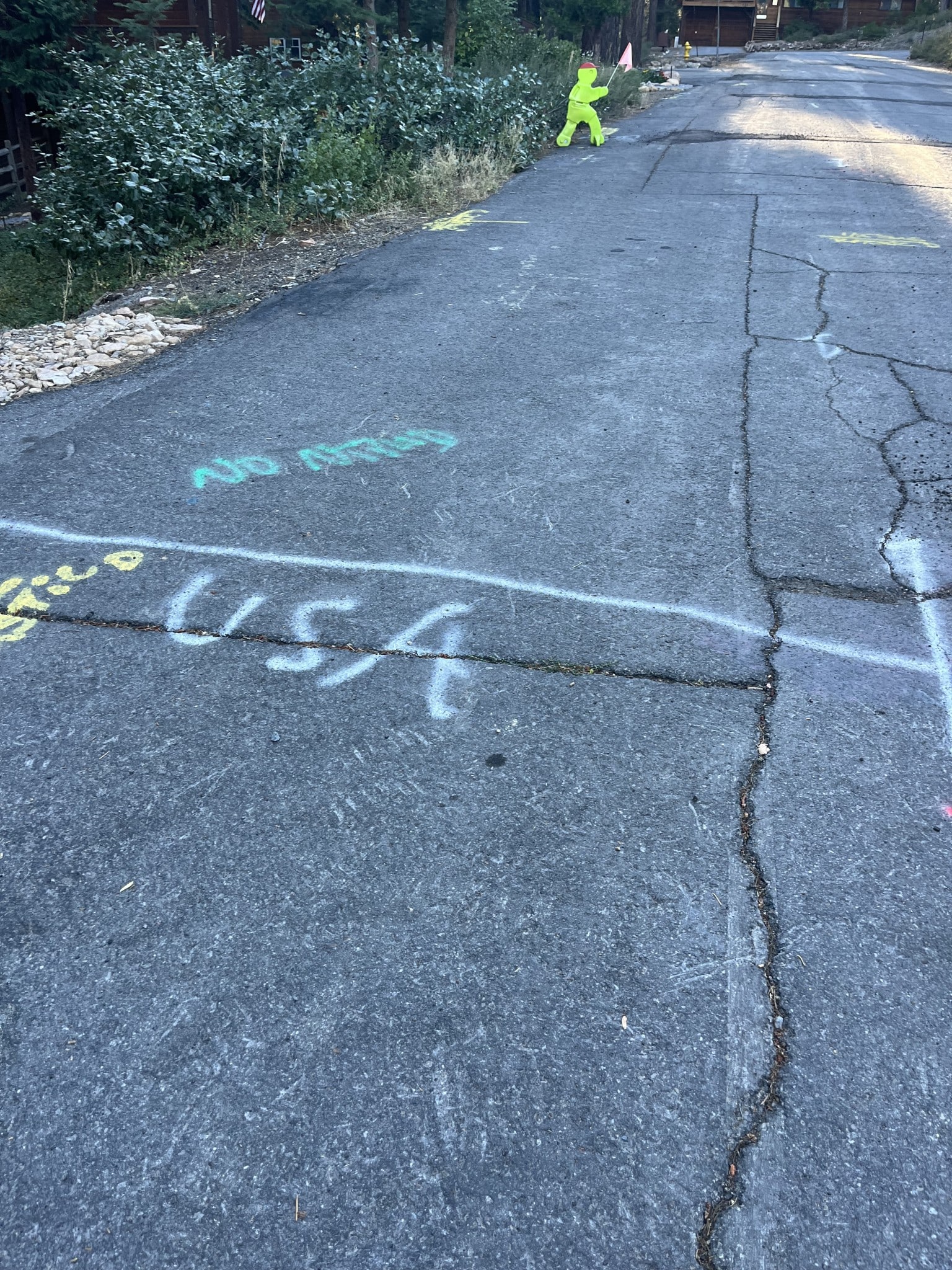 The Great Carnelian Bay Poop Spill of 2024 – Sierra Nevada Ally