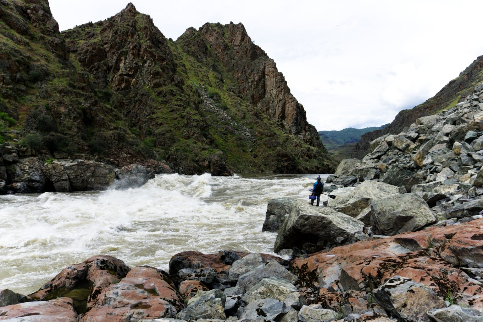 Ally Audio: Sparks Expanding, and a 1,000-Mile Trek Following Salmon ...