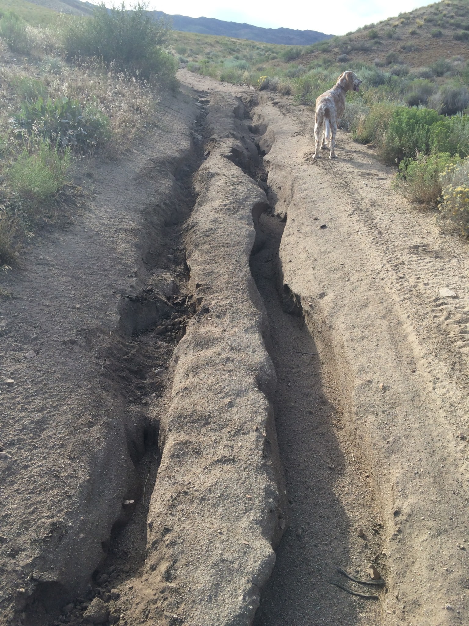 A Visit from the Mary Kay Lady – Sierra Nevada Ally